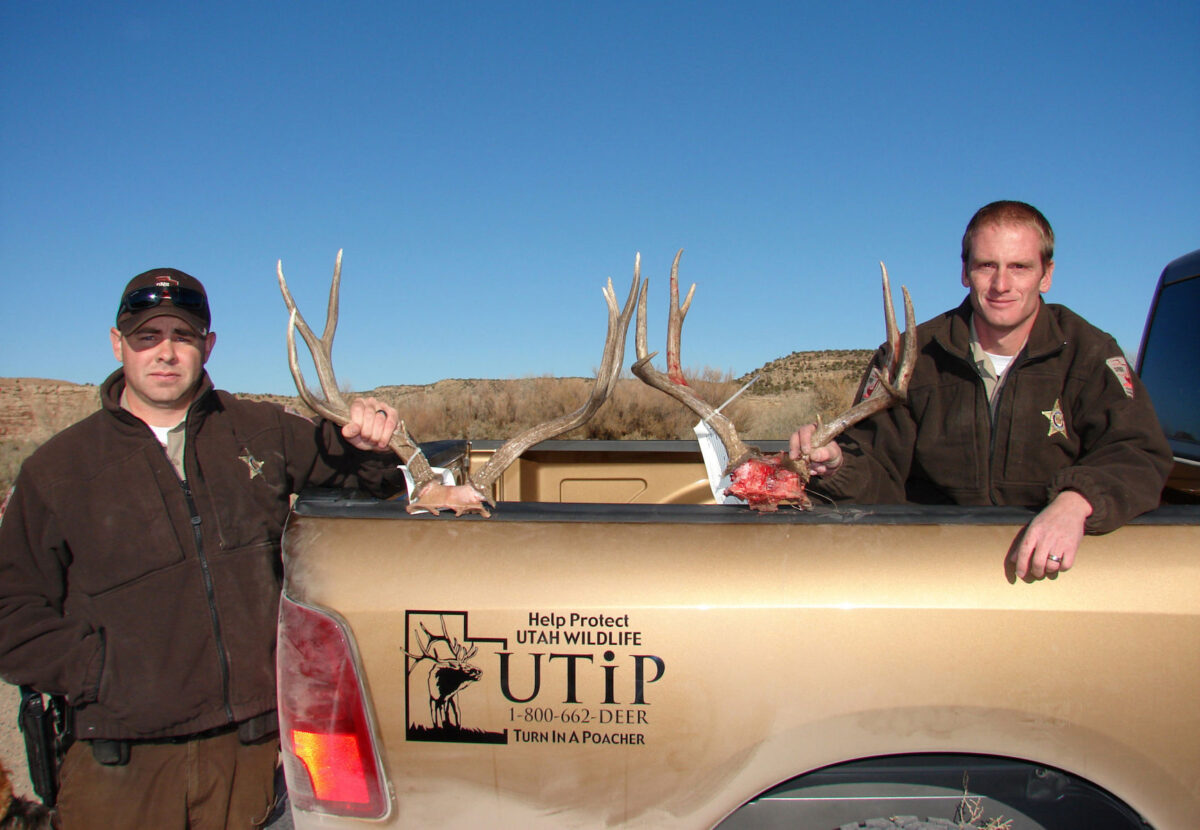 Utah DWR launches massive patrol effort | News, Sports, Jobs - Standard ...
